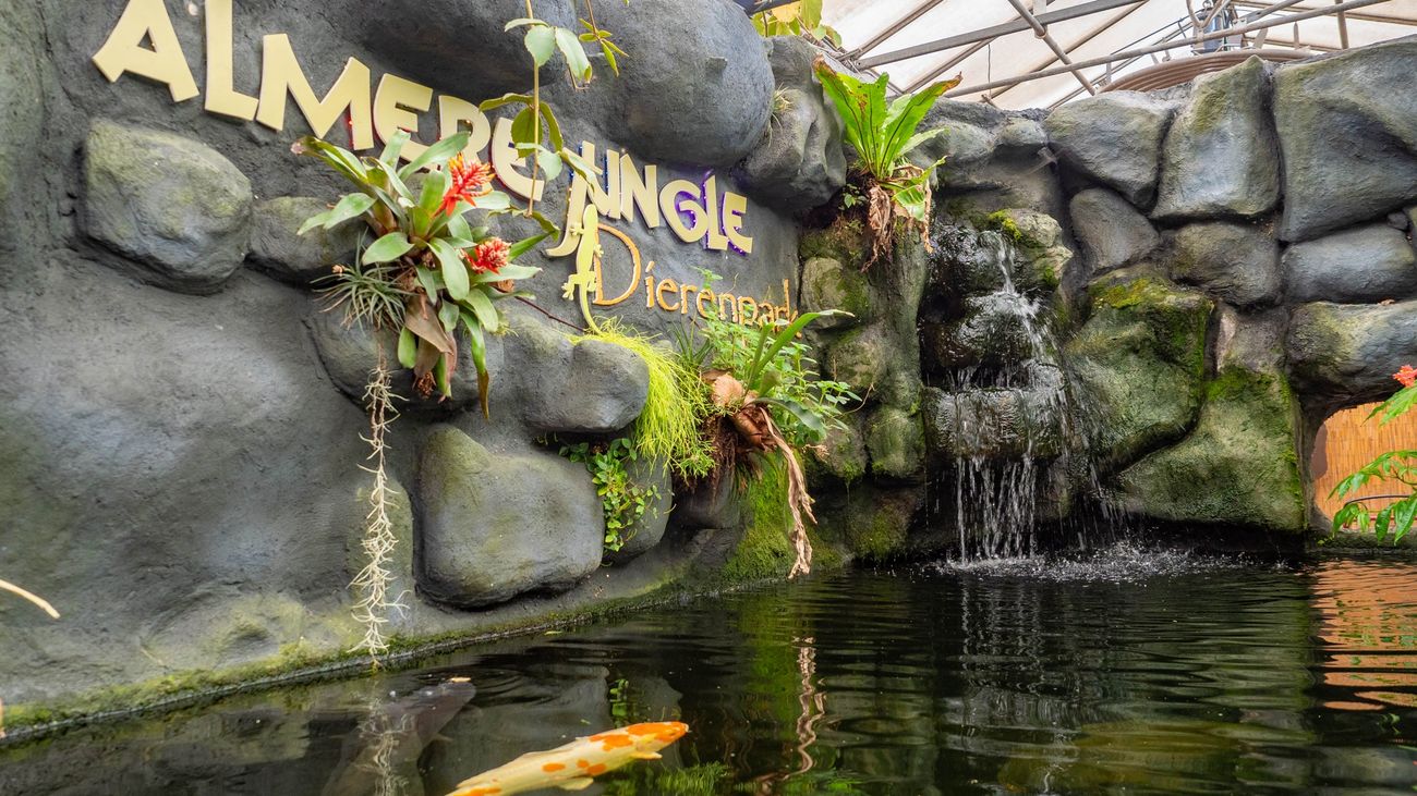Omroep Flevoland - Nieuws - Almere Jungle: 'We zijn al een volwaardige ...