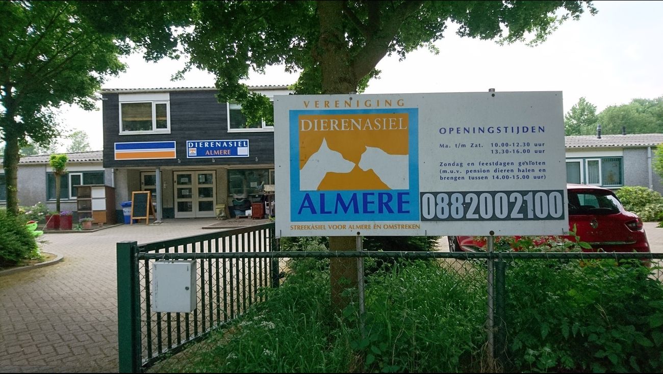 Omroep Flevoland - Nieuws - Dierenasiel Almere staat op omvallen door ...