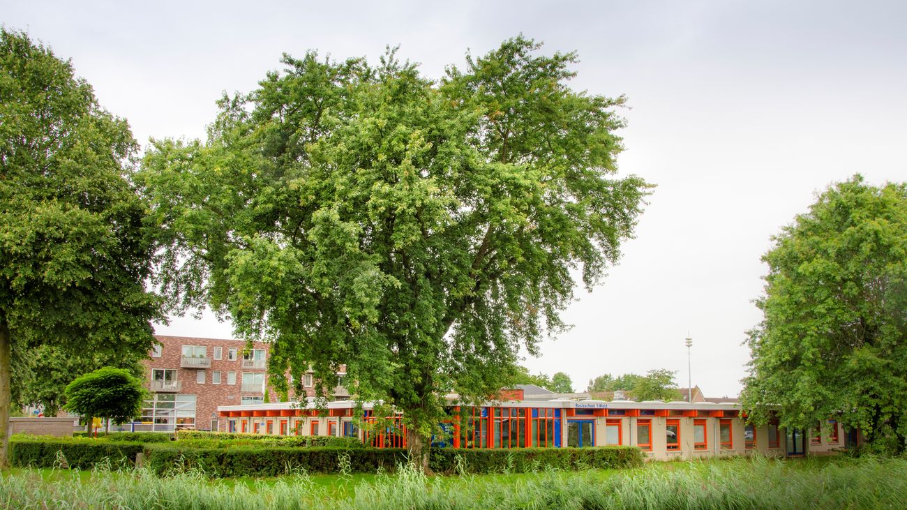 Omroep Flevoland - Nieuws - Zilveresdoorn in Zeewolde genomineerd als ...