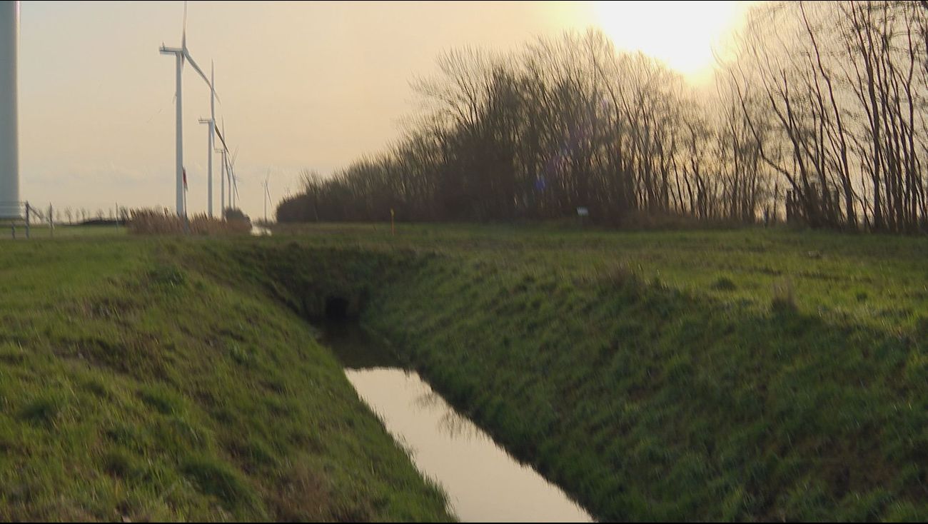 Omroep Flevoland - Nieuws - Waar staat de letter d toch voor in Zuider ...