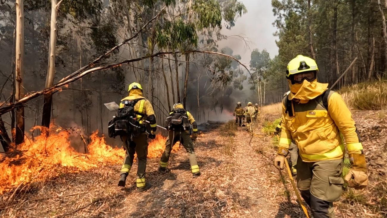 Omroep Flevoland - Nieuws - Flevolandse brandweerman hielp mee bij ...