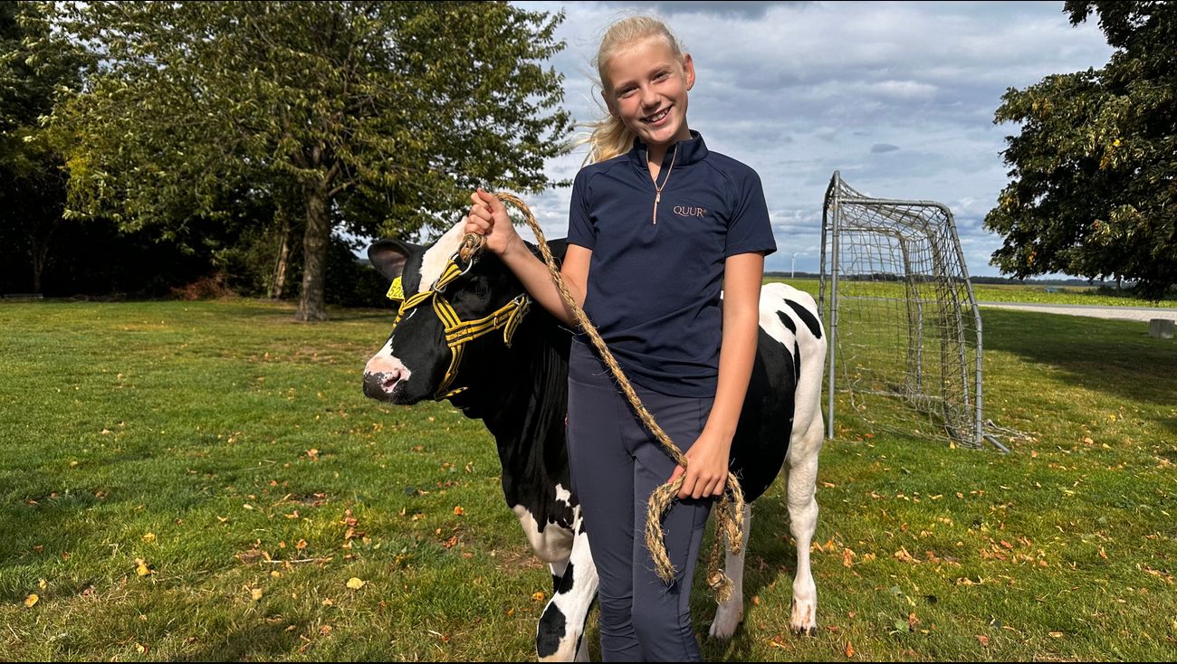 Omroep Flevoland - Nieuws - Met leenkalf Rakker gaat tienjarige Maud de ...