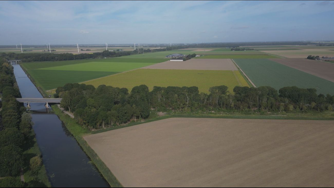 Omroep Flevoland - Nieuws - Iedereen wil wat in Flevoland: wie bewaakt ...