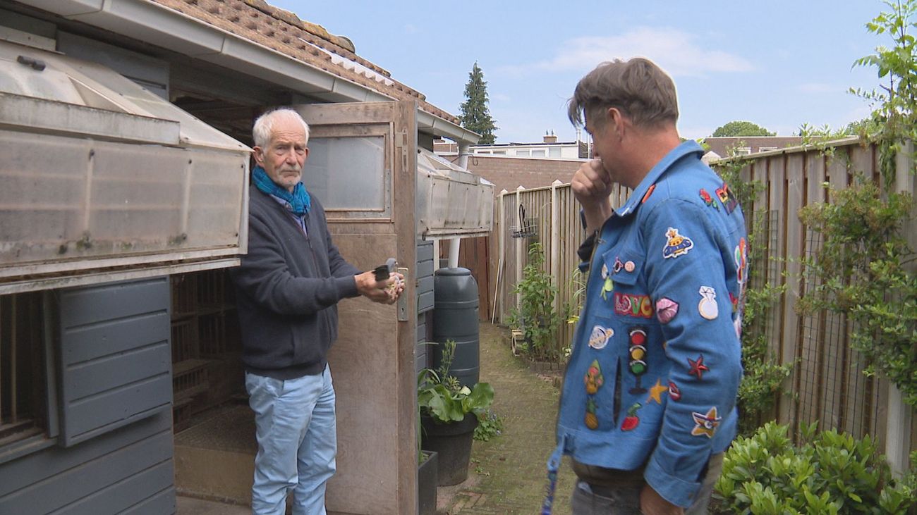 Omroep Flevoland - Nieuws - Bestaan er boevenduiven? Rechtbanktekenaar ...