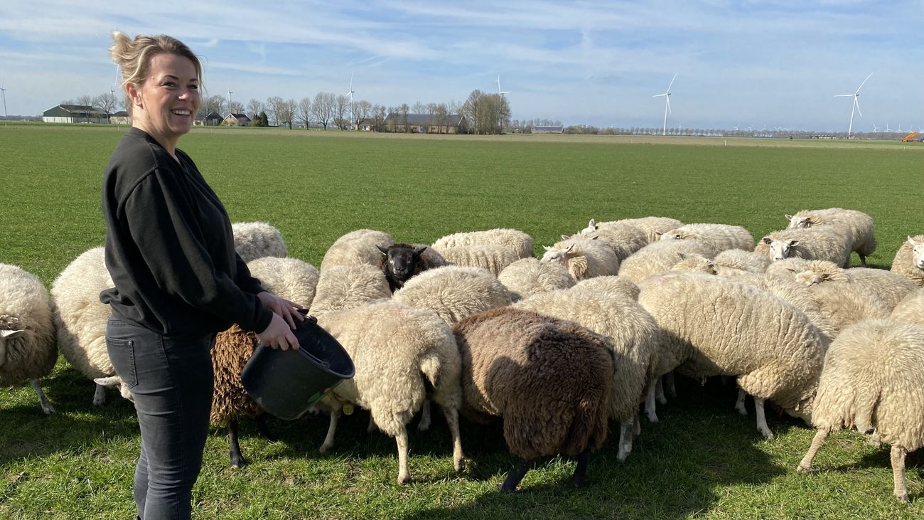 Omroep Flevoland - Nieuws - 'Mogelijke komst wolf kan einde maken aan ...