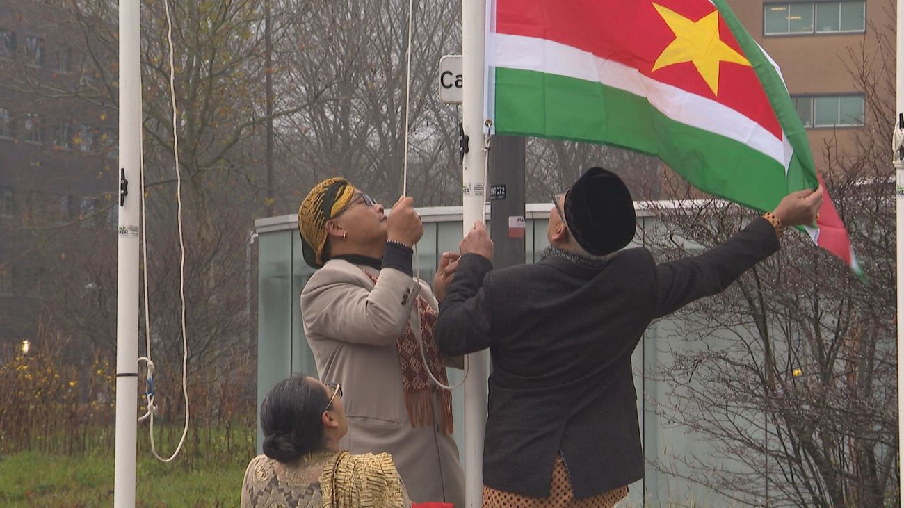 Omroep Flevoland - Gemist - Surinaamse vlag gehesen in de meest ...